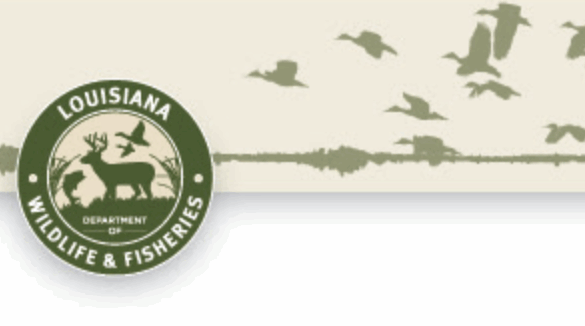 Restore Louisiana Homeowner Assistance Program Extends Application ...