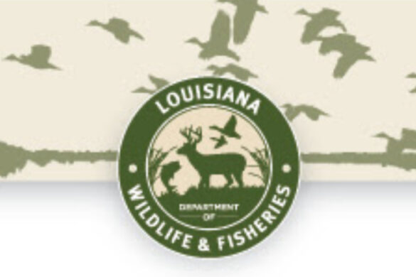 Youth softball: Minden 10U All-Stars win DYS World Series championship ...