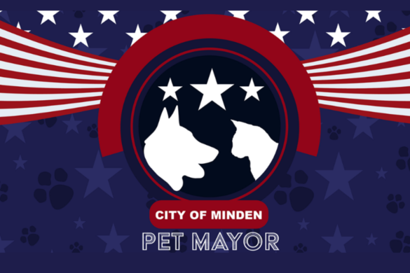 Election Day set for Saturday; voters to decide races, constitutional ...